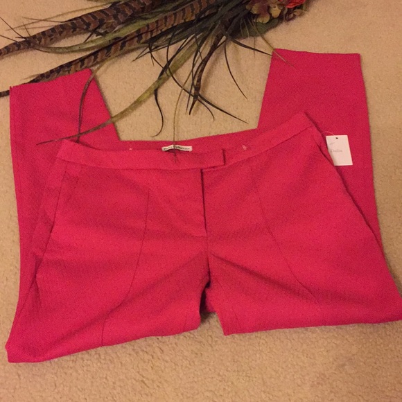 Dalia Collection | Pants & Jumpsuits | New Dalia Collection Pants ...